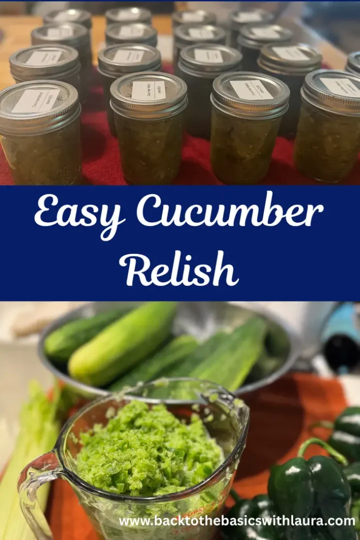 Easy Homemade Pickled Cucumber Relish - Back to the Basics with Laura